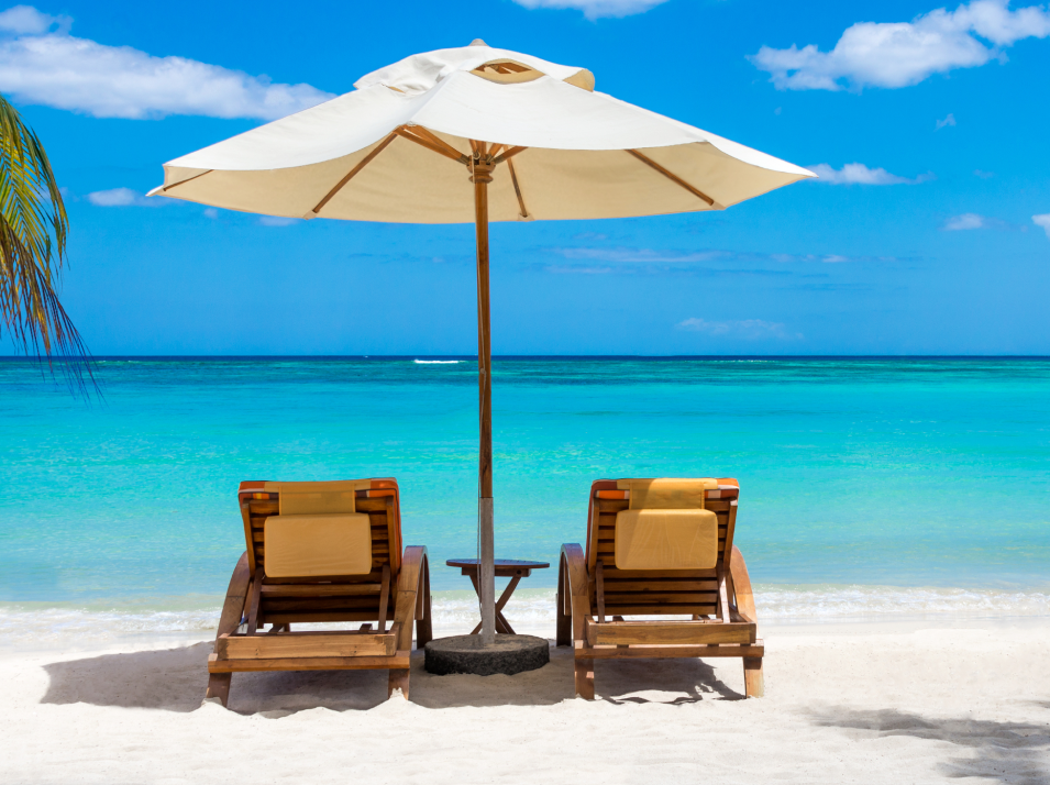 Referral Campaign Thank You | Enva